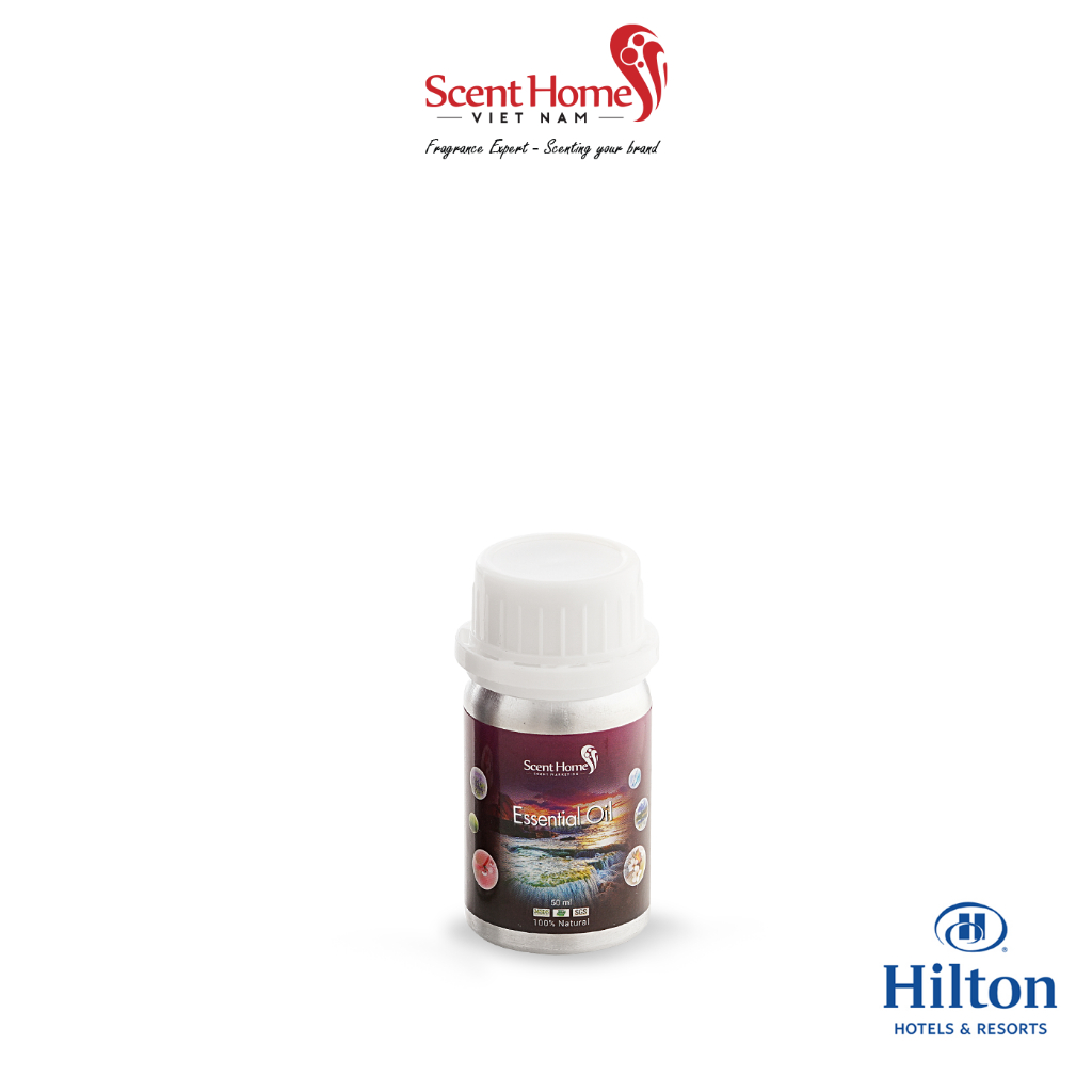 [Chính hãng] Tinh dầu Hilton Hotel - Scent Homes (Hilton Hotel - 50ml,100ml,250ml) | Shopee Việt Nam