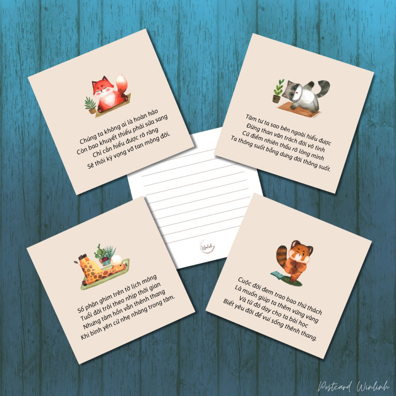 [Winlinh] Postcard AN (4 tấm) | Shopee Việt Nam