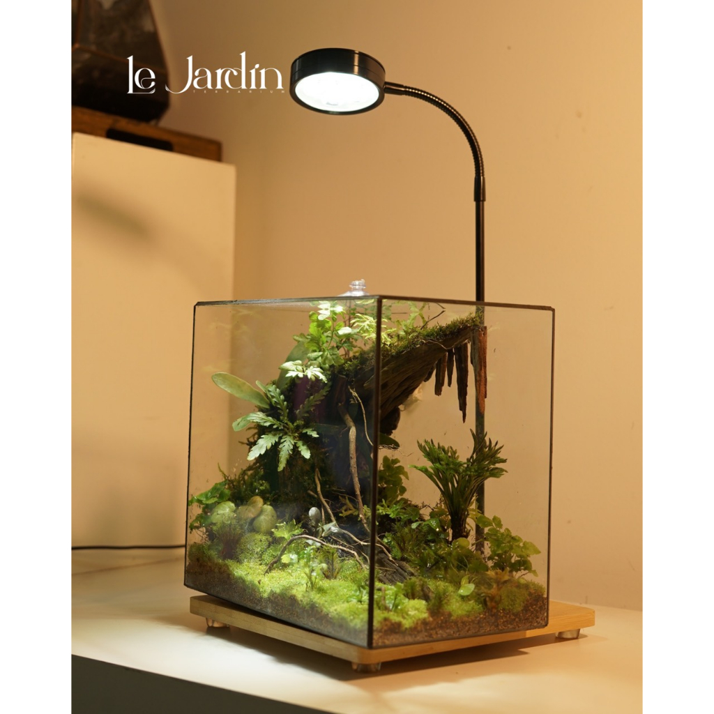 Bình Terrarium Vivarium Mini - Terrarium đẹp, Terrarium để bàn ...