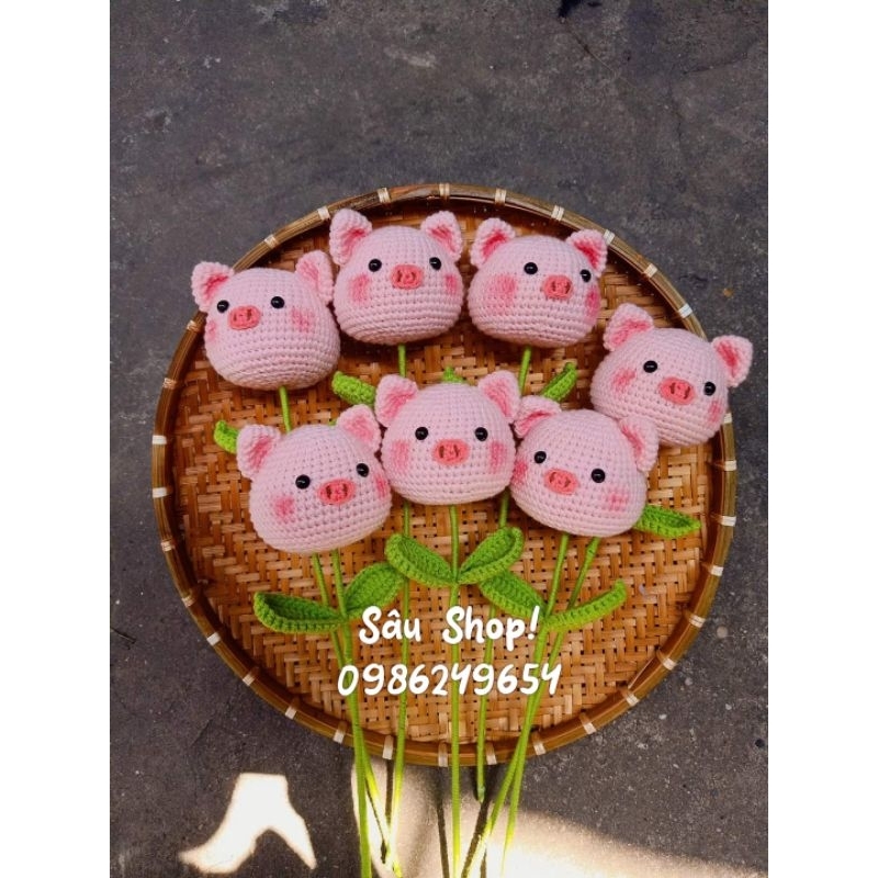 Hoa len đầu heo | Shopee Việt Nam