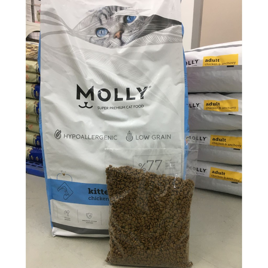 Molly Cat Kitten&Mother 15KG - MÈO MẸ & MÈO CON | Shopee Việt Nam