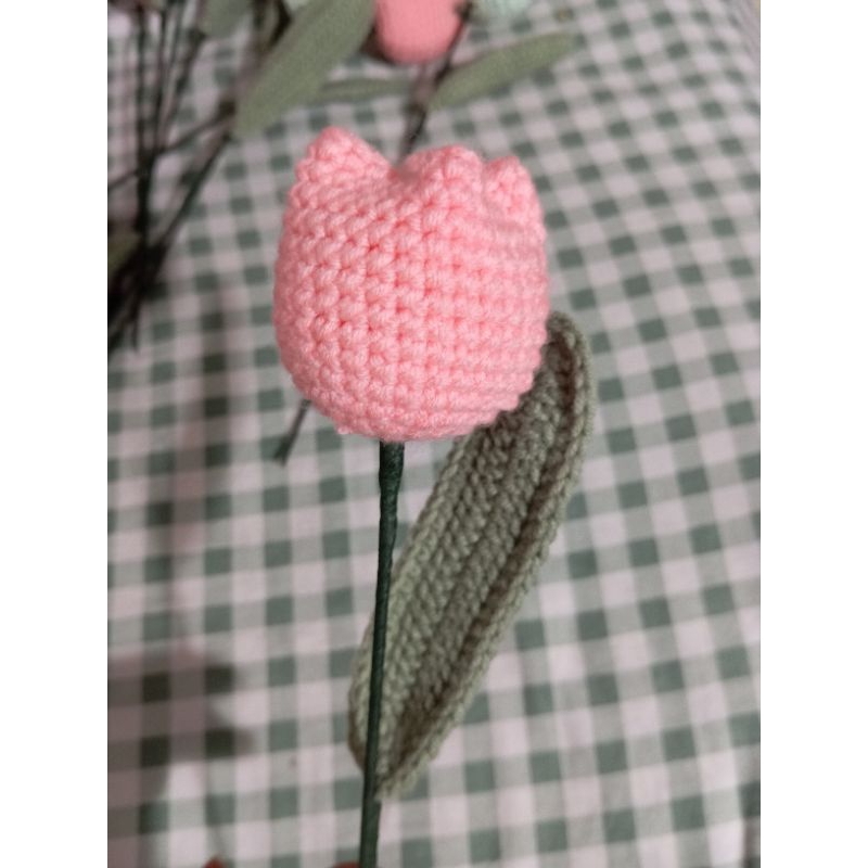 hoa tulip len | Shopee Việt Nam