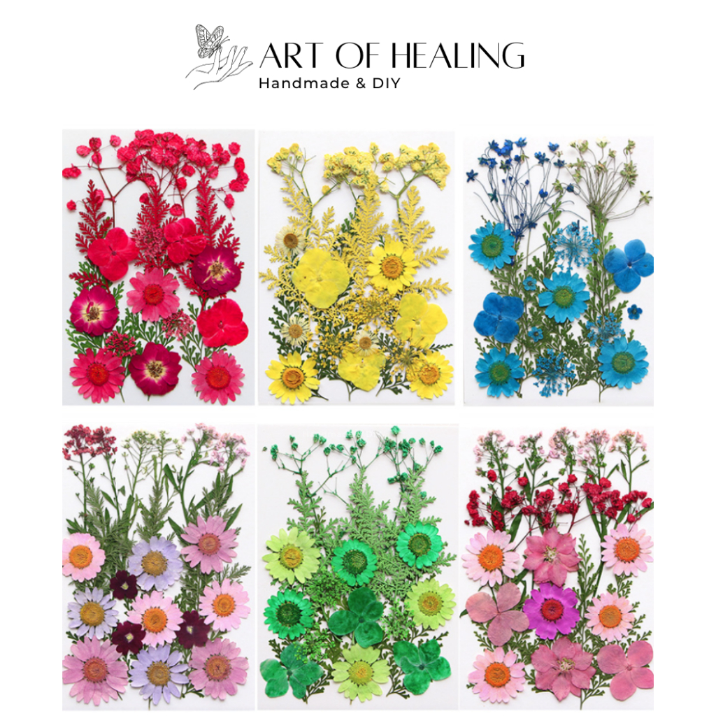 [AOH - Art of Healing] Set hoa ép khô các loại trang trí nến, resin, sổ ...