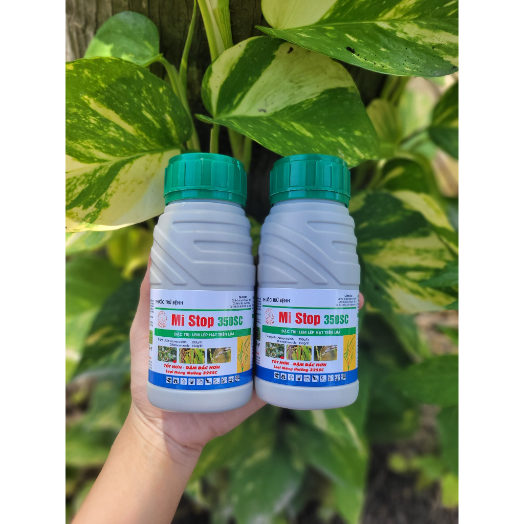 [Freeship Xtra] Mi Stop 350SC (Azoxystrobin+Difenoconazole) trừ bệnh ...