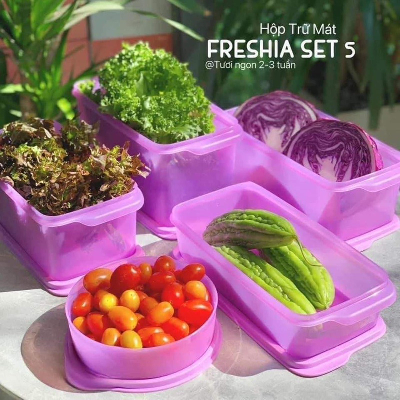 Bộ hộp trữ mát Freshia Collection Purple (5 hộp) | Shopee Việt Nam
