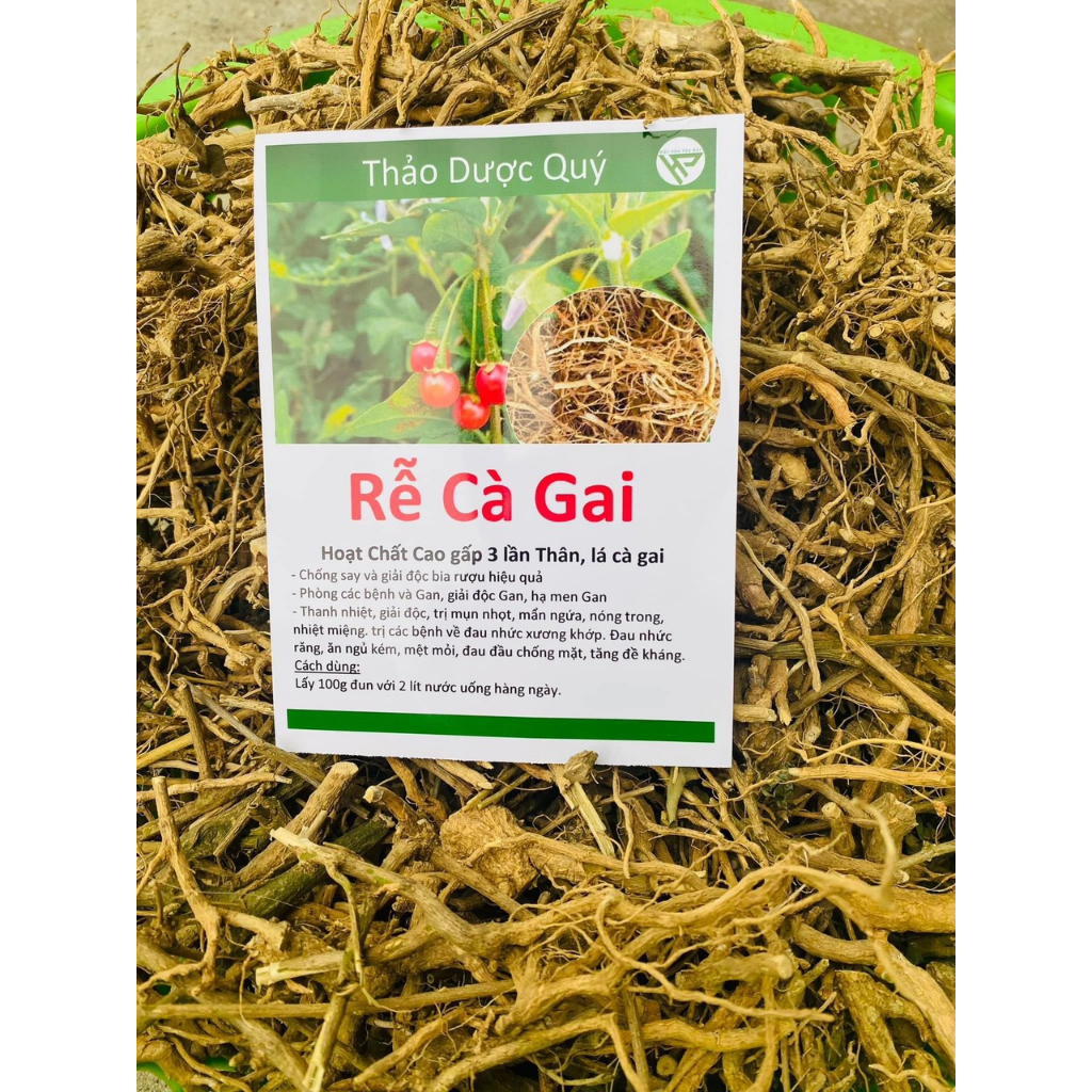 Rễ cà gai leo | Shopee Việt Nam