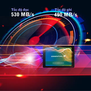 Ổ cứng SSD SATA 3 2.5" dung lượng 128GB/256GB/512GB/1TB, SSD TRM S100 ...