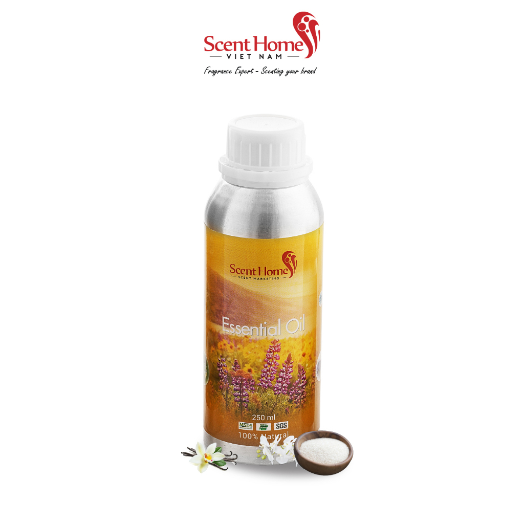 Tinh dầu Scent Homes dung tích 250ml ( Nhóm mùi hương Gold ) | Shopee Việt Nam