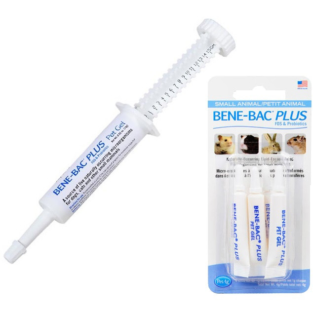 Men Bene-bac Plus | Shopee Việt Nam
