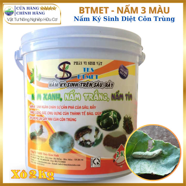 BTMET NẤM 3 MÀU Ký Sinh Trừ Rệp Sáp, Ve Sầu, Côn Trùng Bằng Sinh Học ...