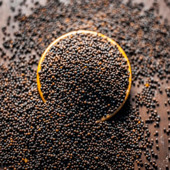 Black Mustard seeds - Sarso - Hạt Mù Tạt Rai/Sarson k dane ( 100g ...