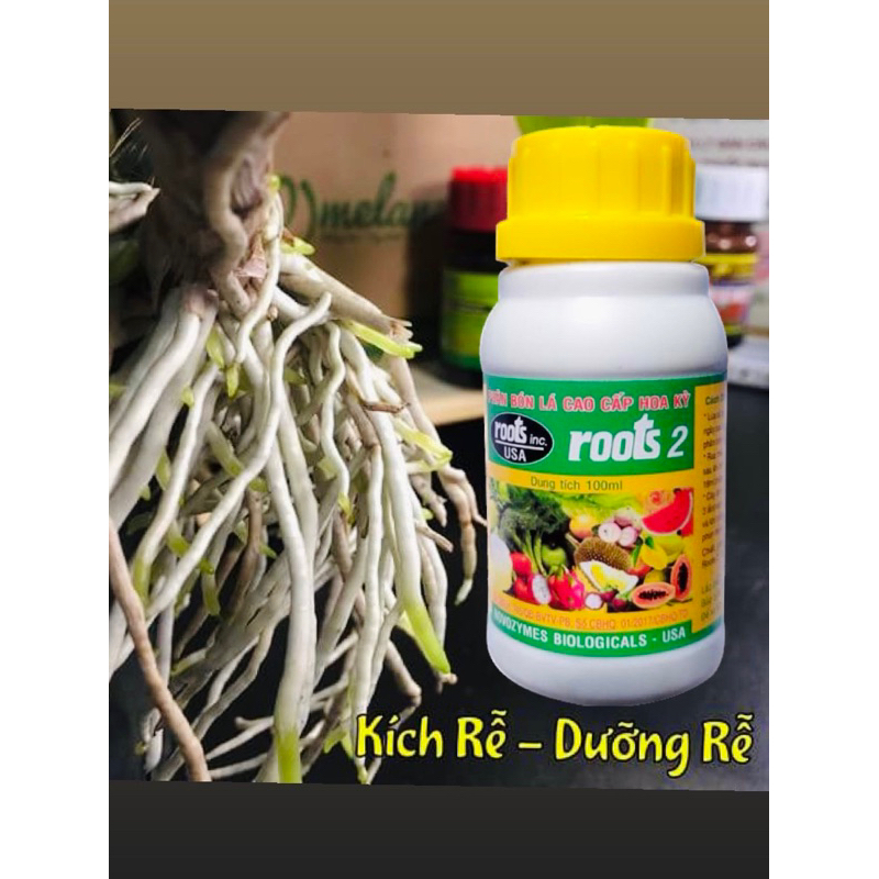 ROOT2 USA Kích Rễ , Dưỡng Rễ 100ml | Shopee Việt Nam