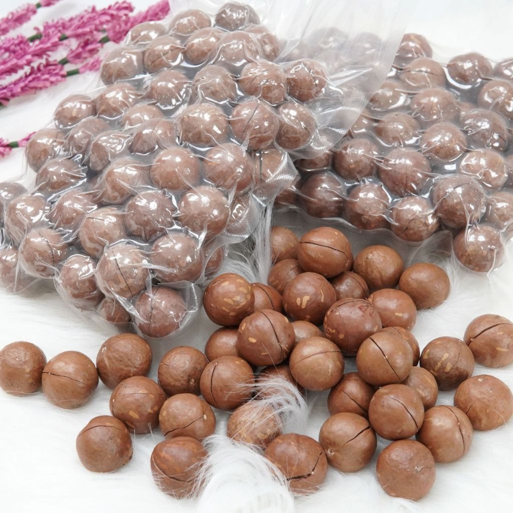 [ 500gram ] Macca Daklak Size Trung Hút Chân Không, Tặng Đồ Khui ...
