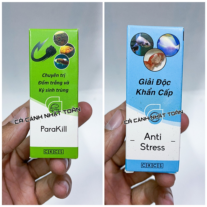 COMBO PARAKILL + ANTISTRESS CKCS CHO CÁ CẢNH | Shopee Việt Nam