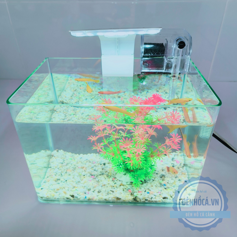 Bể cá mini Đúc uốn cong kích thước 30x18x21 kèm sỏi nền và cây nhựa ...