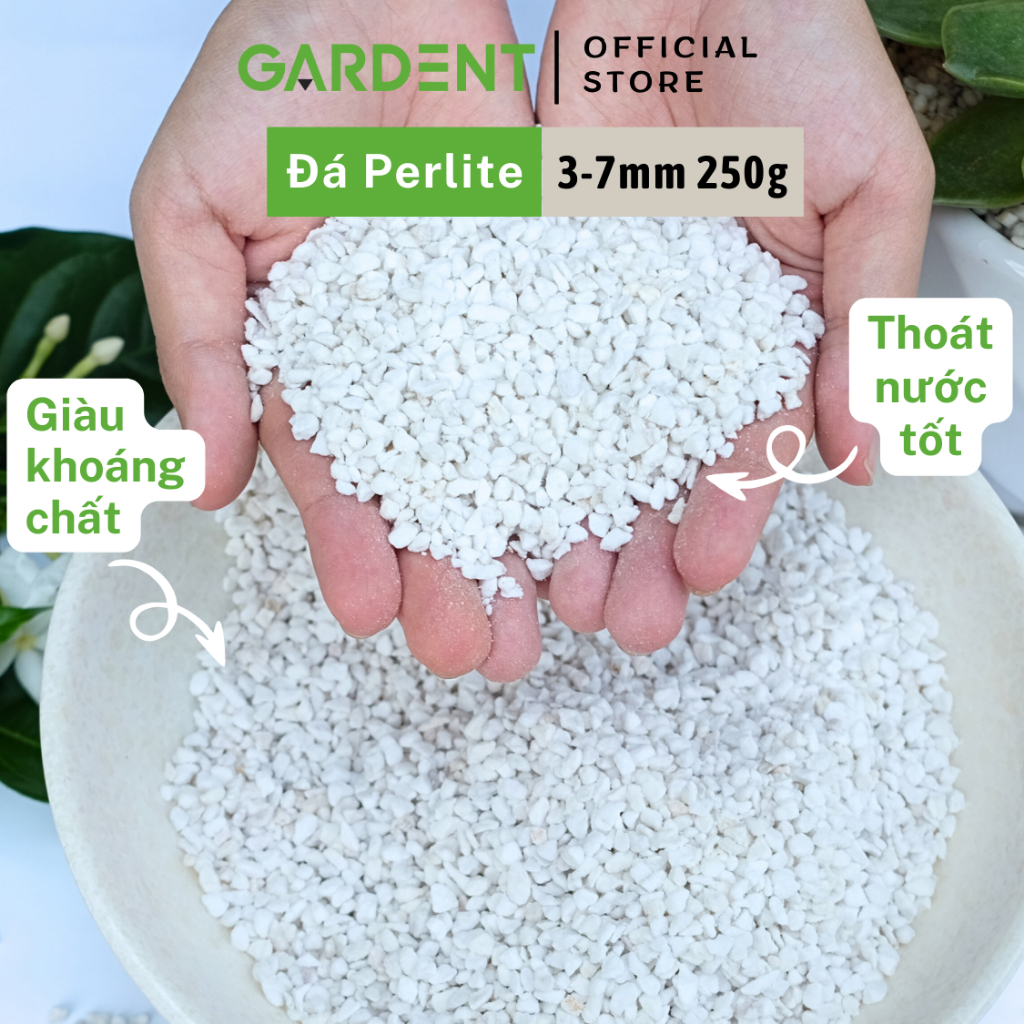 Đá Perlite GARDENT Đá Trân Châu Giá Thể Trồng Sen Đá Xương Rồng Giàu ...