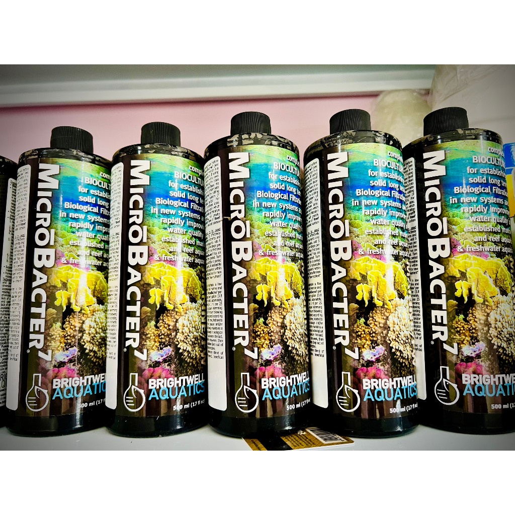 VI SINH MICROBACTER7- Brightwell Aquatics - Vi sinh khử N, P cực mạnh ...