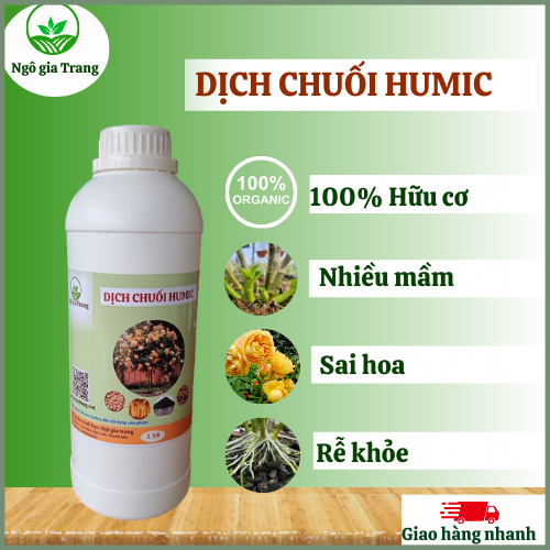 Dịch chuối humic, phân bón hữu cơ vi sinh cho hoa hồng, hoa lan, cây ...