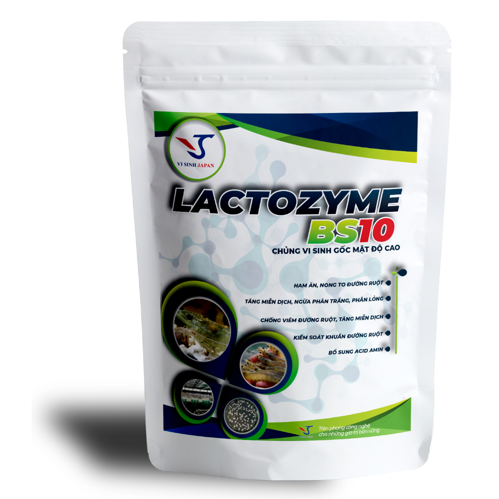 (Mua 10 tặng 2) Men vi sinh đường ruột LACTOZYME BS10 cho tôm | Vi Sinh ...