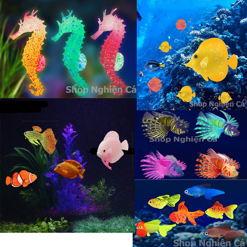 Cá Giả Dạ Quang Thiết Kế Đẹp Nhiều Màu Sắc Mô Tả Cảnh Quan Bể Cá ...