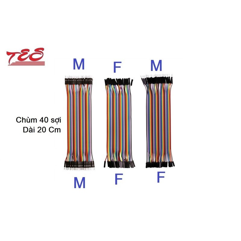 Dây nối Arduino 20cm 40 sợi Các Loại | Shopee Việt Nam