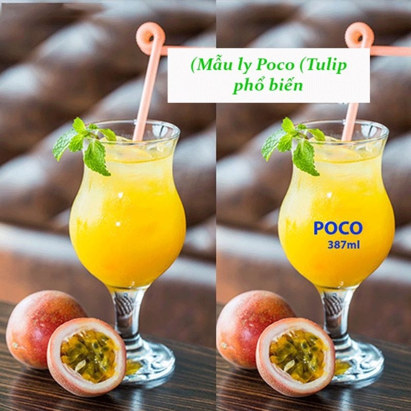 Ly Tulip (Ly Poco | Shopee Việt Nam