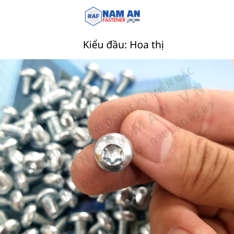200 con Vít tự ren M4, M5, M6. Vít tự tạo ren M4x10, M5x10, M5x15 ...