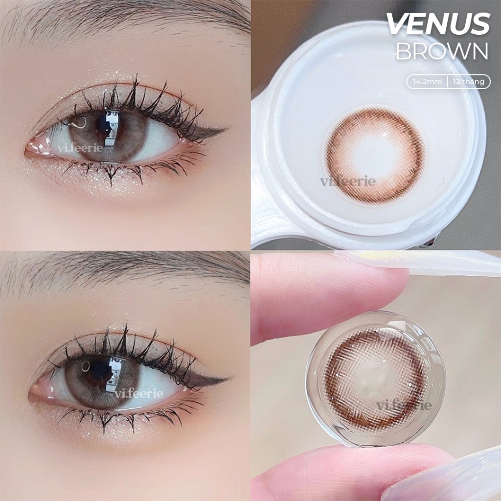 (HOT DOUYIN) Kính áp tròng (lens) nâu Venus Brown - VF Lens | Shopee ...