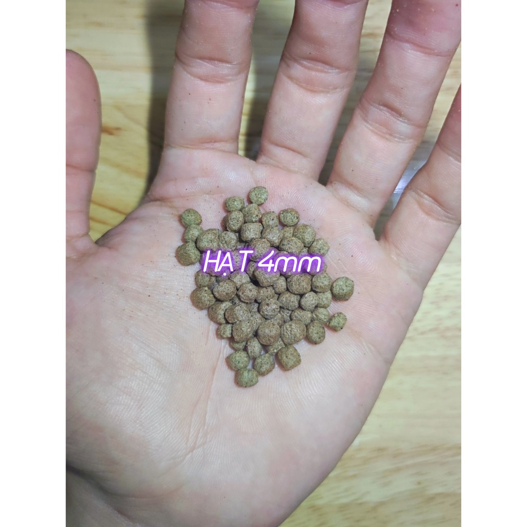 Cám thức ăn dinh dưỡng cho baba, rùa nước cảnh | Shopee Việt Nam