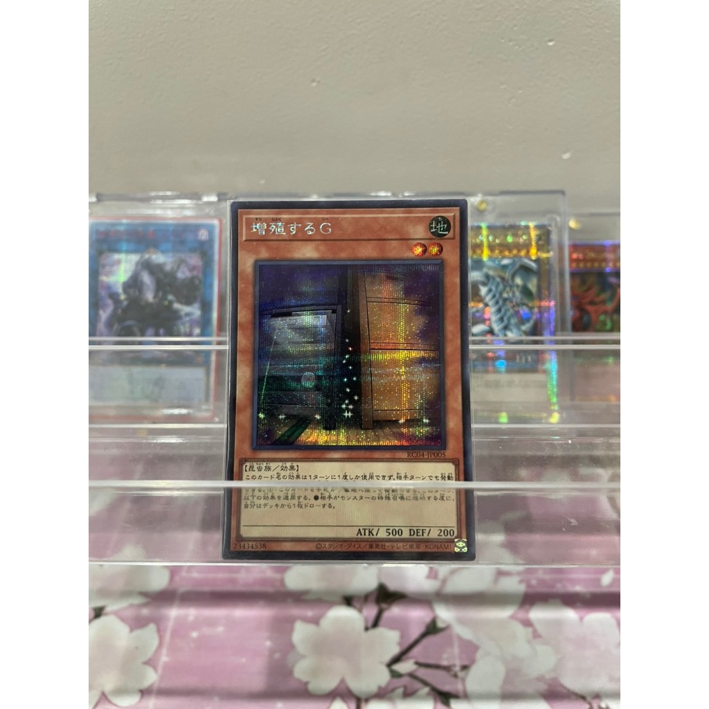 Thẻ bài [ JP ] Maxx "C" - RC04-JP005 | Shopee Việt Nam