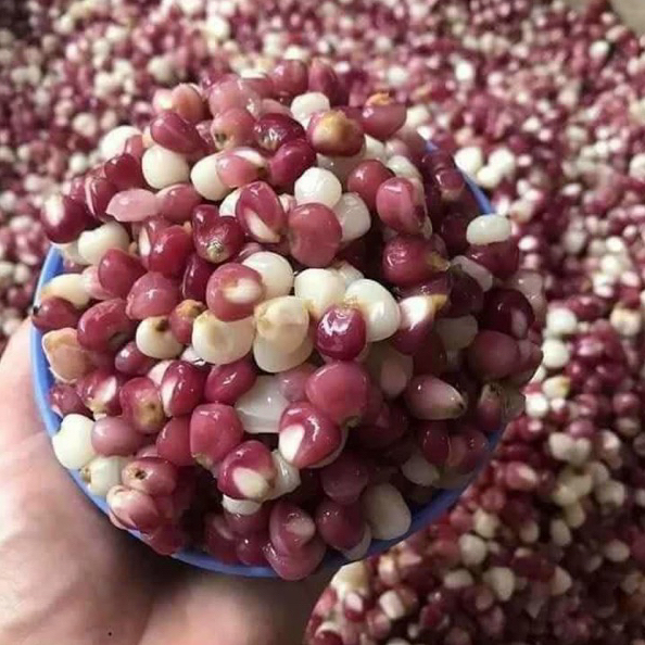 Bắp bung điện biên gói 1kg (Ship hỏa tốc HCM) | Shopee Việt Nam