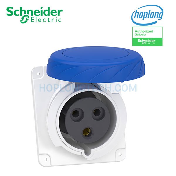 Ổ cắm âm dạng nghiêng PKF32F723 Schneider - Socket, Mureva PK, panel ...