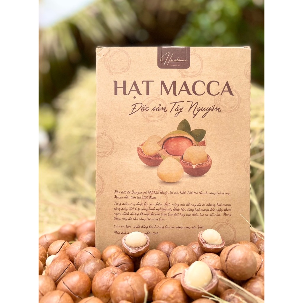 Hạt Macca Đắk Lắk nứt vỏ size trung Hana Ban Mê ( >= 23 mm) | Shopee ...