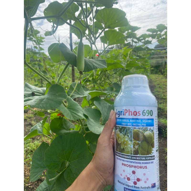Thuốc trừ bệnh AGRIFOS 690 chai 1000ml đặc trị nấm Phytophthora ...