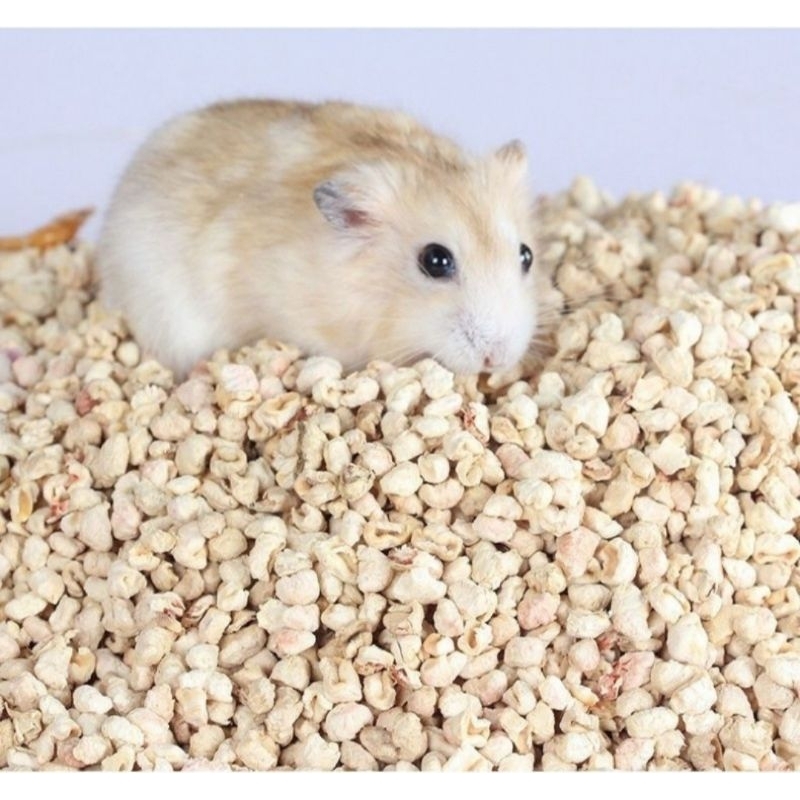 Cùi bắp/ ngô lót chuồng hamster 1kg | Shopee Việt Nam