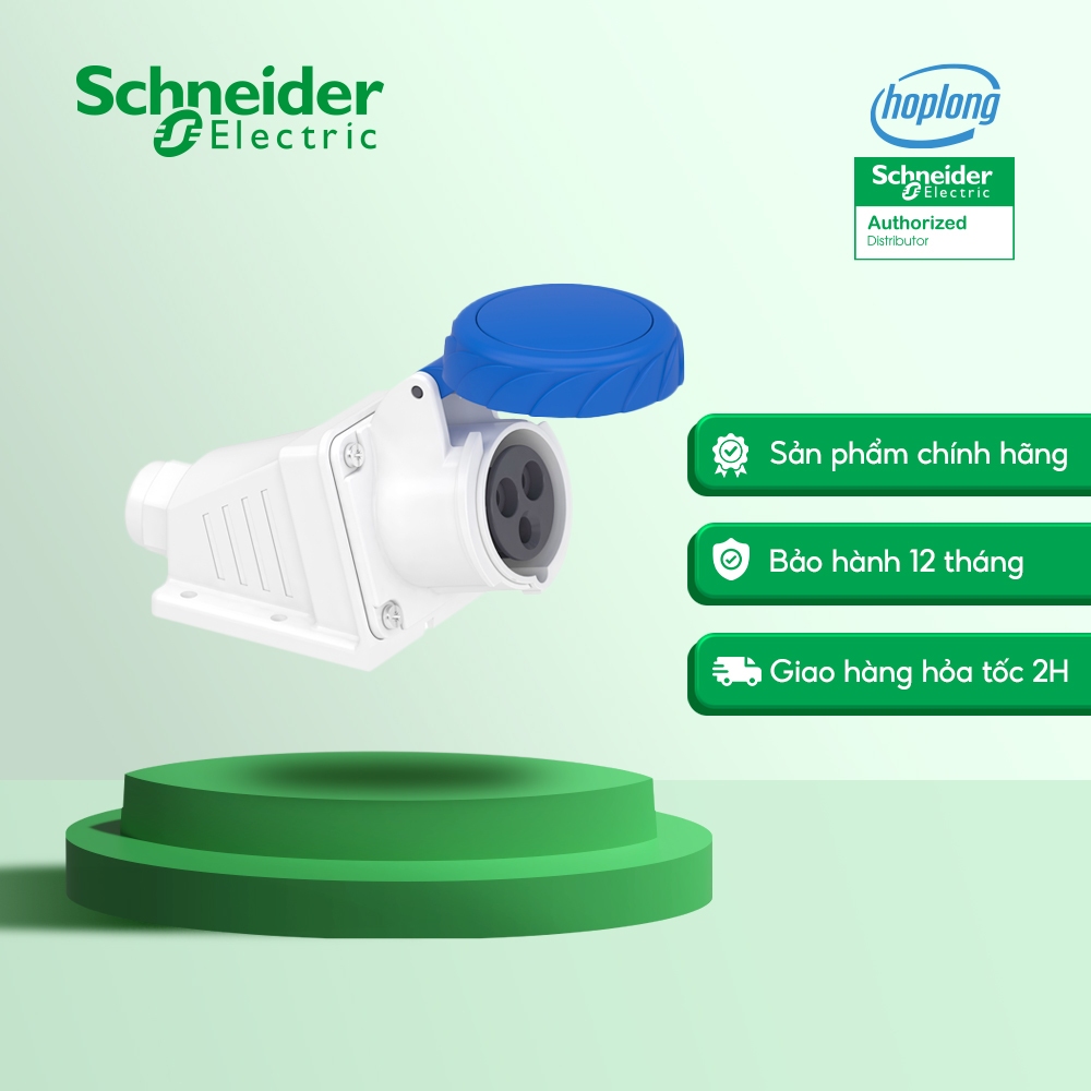 Ổ cắm âm dạng nghiêng PKF16W723 Schneider - 16A - 3P - IP67 - 200 ...
