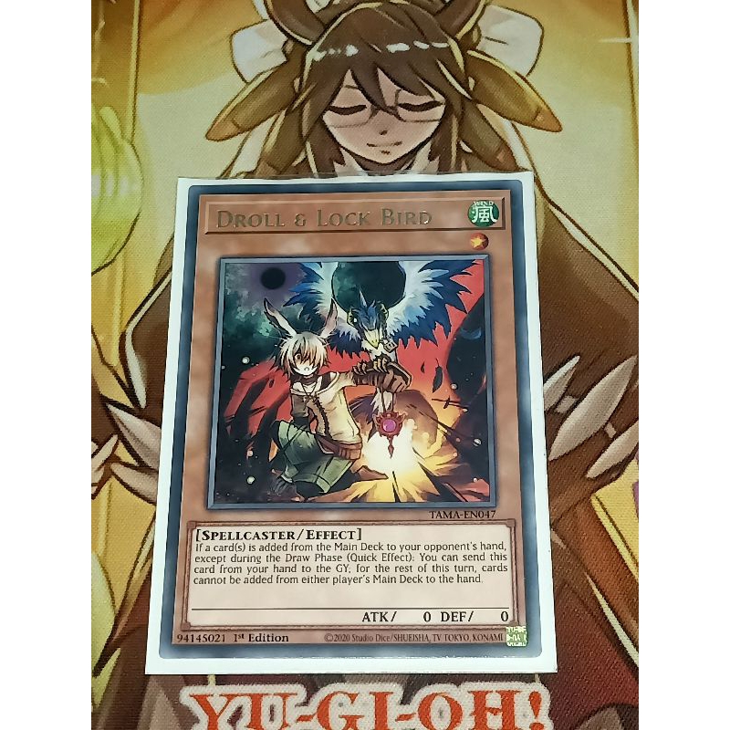 Droll & lock bird | Shopee Việt Nam