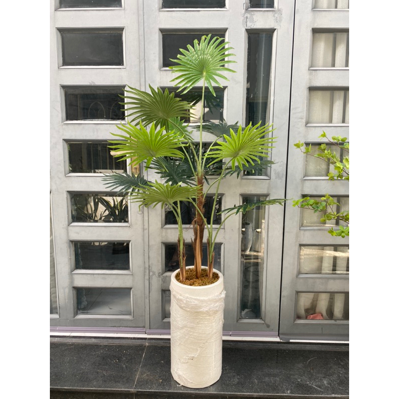 Cây cọ giả 1m | Shopee Việt Nam