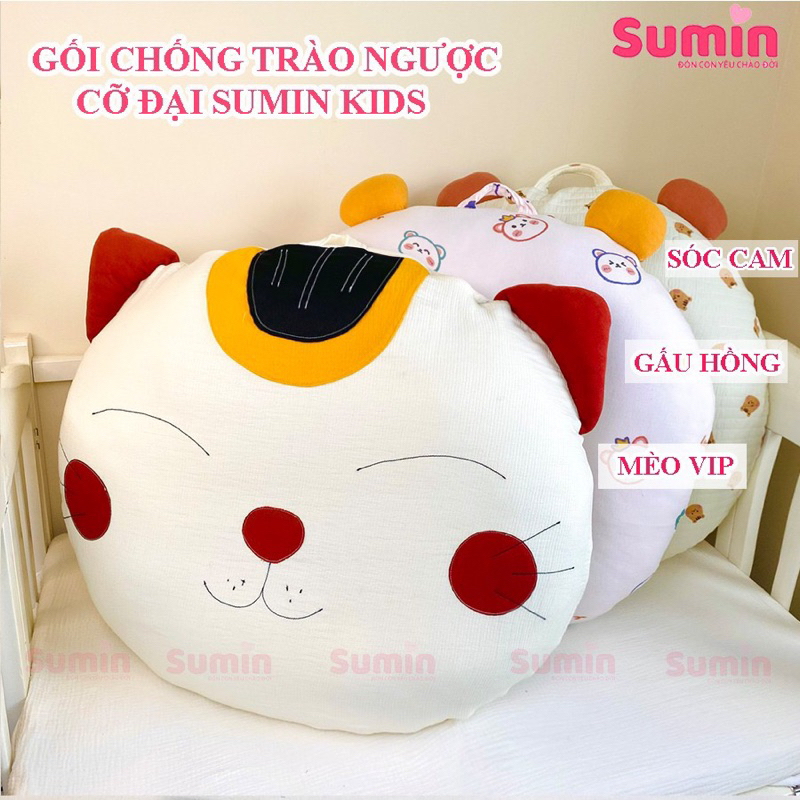 [ HÀNG CAO CẤP ]GỐI CHỐNG TRÀO NGƯỢC VIP SUMIN KIDS -Gối xinh cho bé ...