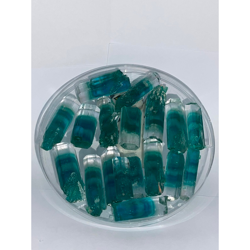 Mầm NaMg nuôi đơn tinh nhiều size | Shopee Việt Nam