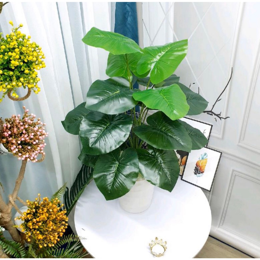 Cây Giả Mẫu Mới, Cây Trầu Bà Cao 70cm Trang Trí Decor | Shopee Việt Nam