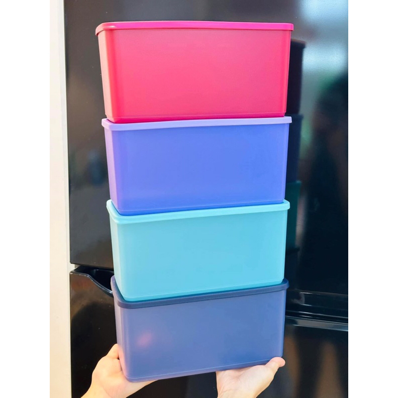 Set 4 hộp trữ mát Tupperware Funtastic chính hãng | Shopee Việt Nam