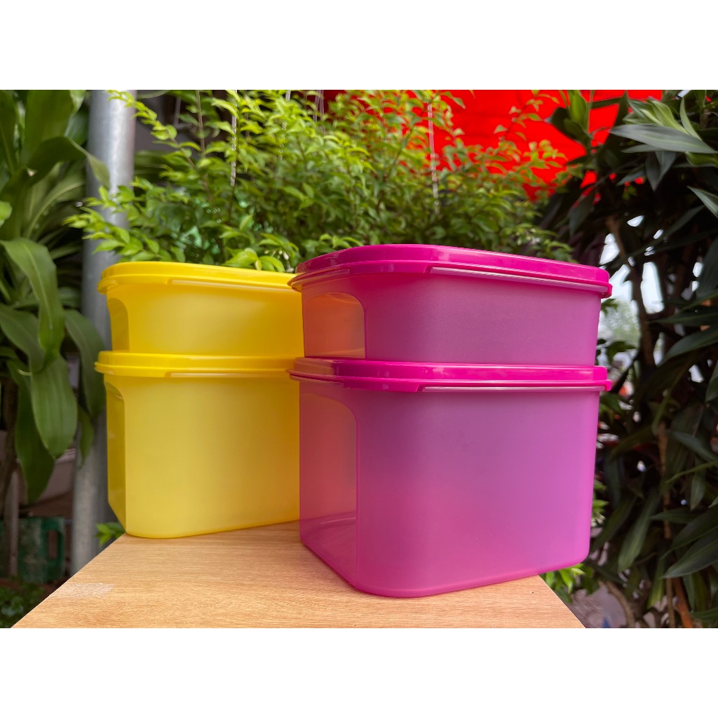 Hộp trữ khô mát REctangular 850ml+1.9L Tupperware chính hãng | Shopee ...
