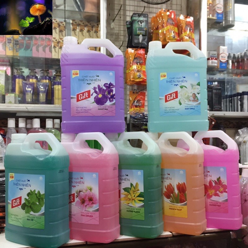 Nước lau sàn Gift | Shopee Việt Nam
