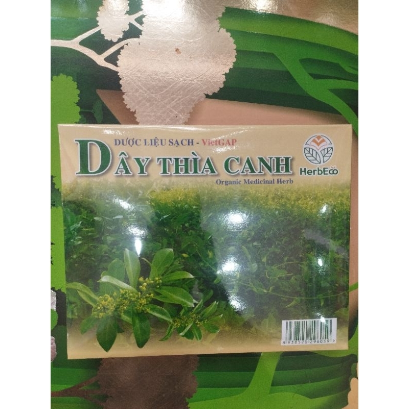 DÂY THÌA CANH | Shopee Việt Nam