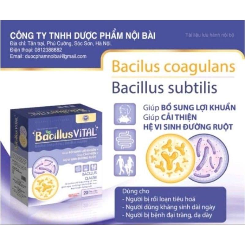 MEN VI SINH BACILLUS VITAL - CẢI THIỆN HỆ VI SINH ĐƯỜNG RUỘT | Shopee Việt Nam