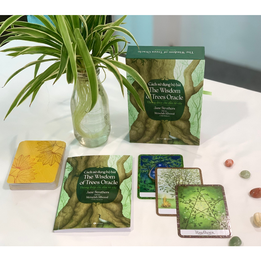 Sách - Cách sử dụng bộ bài The Wisdom of Trees Oracle - 40 lá bài kèm ...