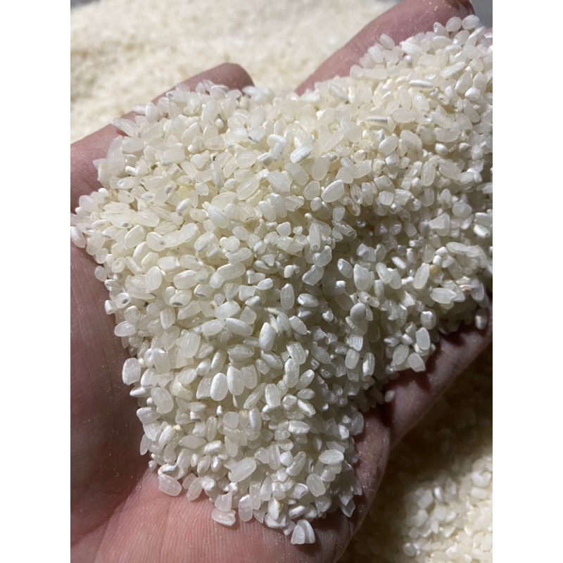 12H68 Gạo J03 dẻo nhẹ, ngon, đậm vị - 5kg | Shopee Việt Nam