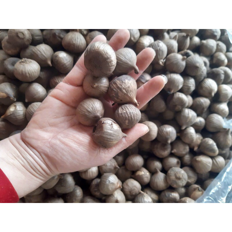 tỏi đen 100g - 200g - 300g | Shopee Việt Nam