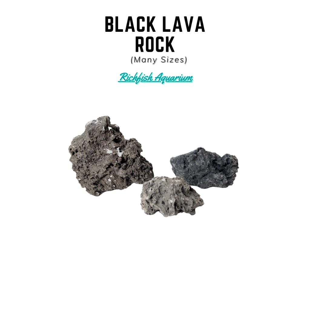 1kg Đá Đen Gia Lai dùng setup bể cá thủy sinh | Shopee Việt Nam